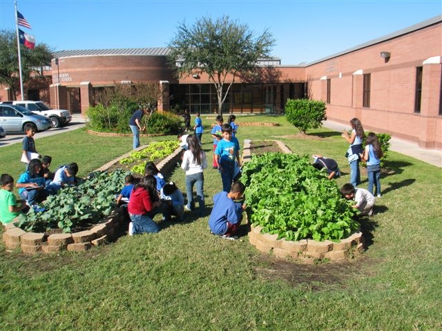 hairgrove_main – Ready to Grow Gardens